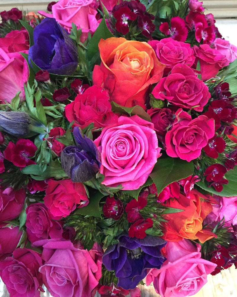 Mayfair *Pinks – Bloomsbury Flowers
