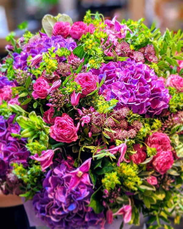 Mayfair *Pinks – Bloomsbury Flowers